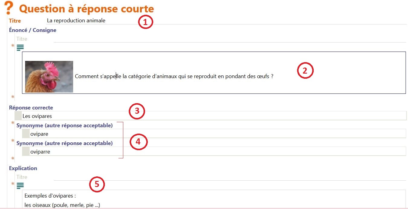 Question à réponse courte